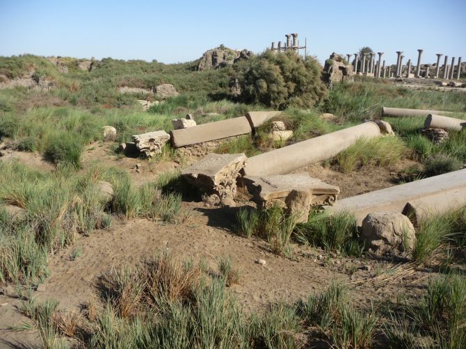 Basílica de Hermópolis Magna – Amigos del antiguo Egipto
