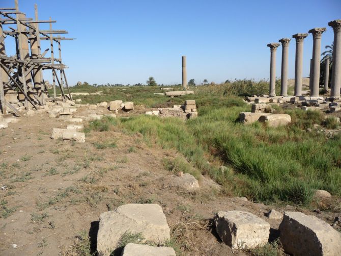 Basílica de Hermópolis Magna – Amigos del antiguo Egipto