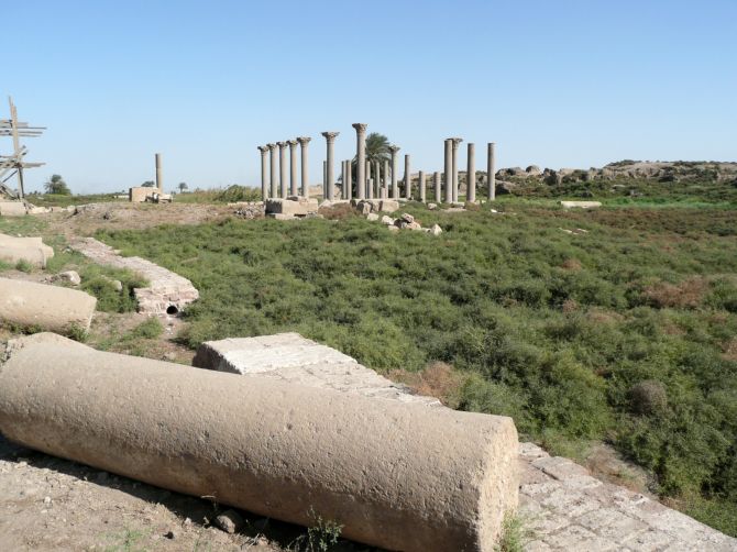Basílica de Hermópolis Magna – Amigos del antiguo Egipto